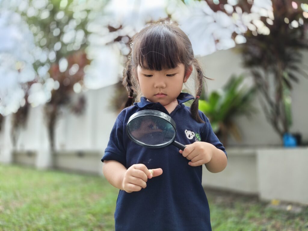 Preschool Program - Kinder Koala
